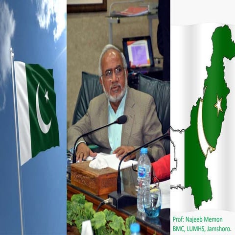 Prof Najeeb Memon | PPTX