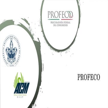 PROFECO | PPTX