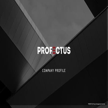PROFECTUS | PDF | Construction Industry | Industries