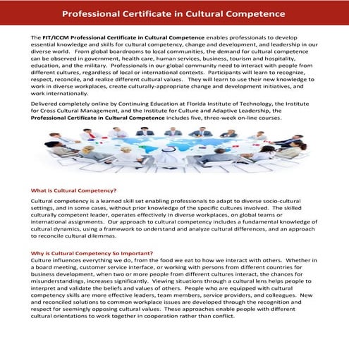 Professional Certificate in Cultural Competence 2017 | PDF