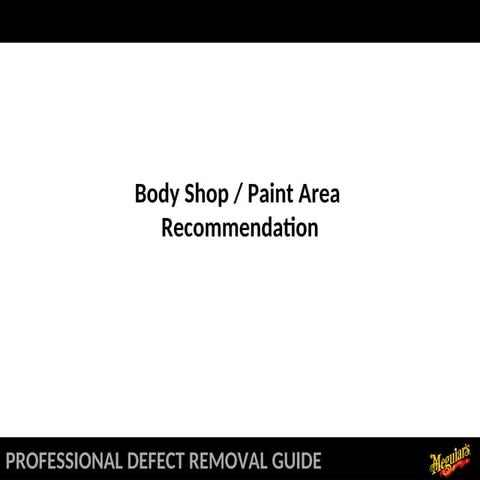 Professional Defect Removal Guide 2013.ppt