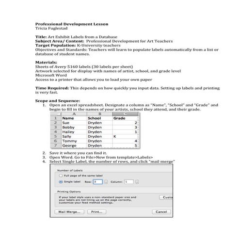 Professional development lesson: making labels | PDF