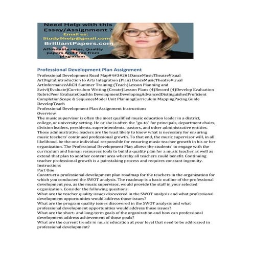 Professional Development Plan Assignment.pdf