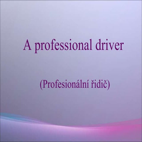 Professional driver | PPT
