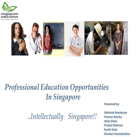 Professional Education Opportunities @ Singapore | PPT