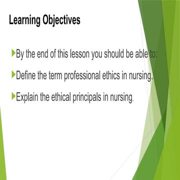 Comprehensive Guide to Professional Ethics and Ethical Principles in ...