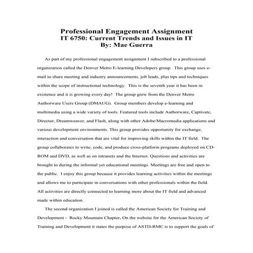 Professional Engagement Assignment | DOC