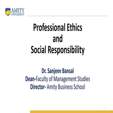 Code of Ethics and Professional Conduct | PDF