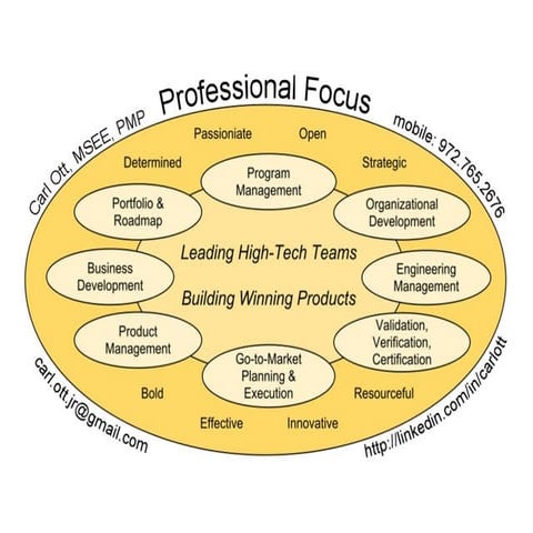 Professional Focus | PPT