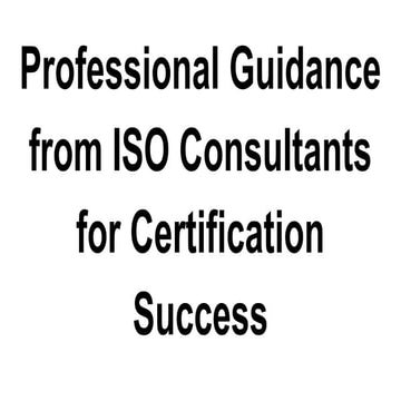 Professional Guidance from ISO Consultants for Certification Success.pdf