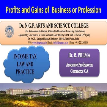 Professional income | PPT