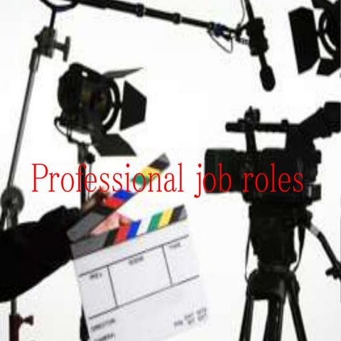 Professional job roles | PPT