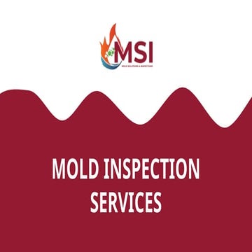 Professional Mold Inspection Services.pptx