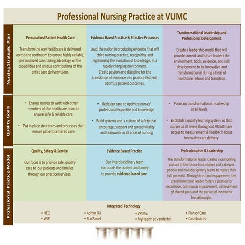 Professional Nursing Practice at VUMC 06-07-11 cw.pptx