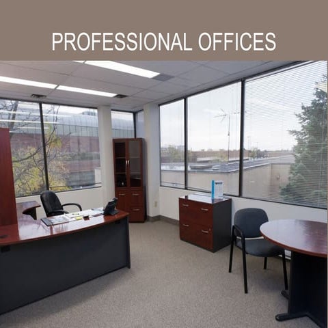 Professional offices | PPT