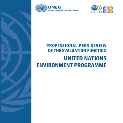 Professional peer review of the evaluation function unep | PDF