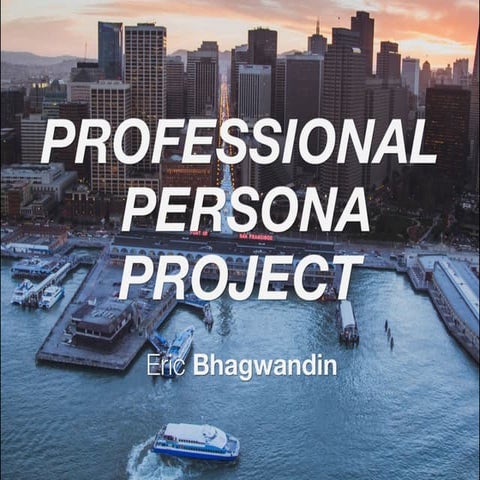 Professional Persona Project | PPT
