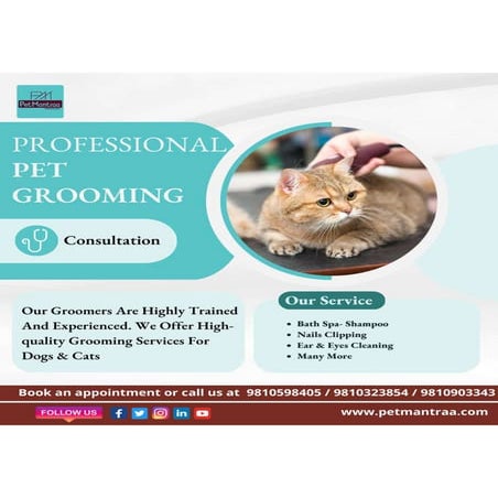 Dog grooming near me | PDF