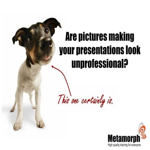 When are pictures unprofessional? | PPT