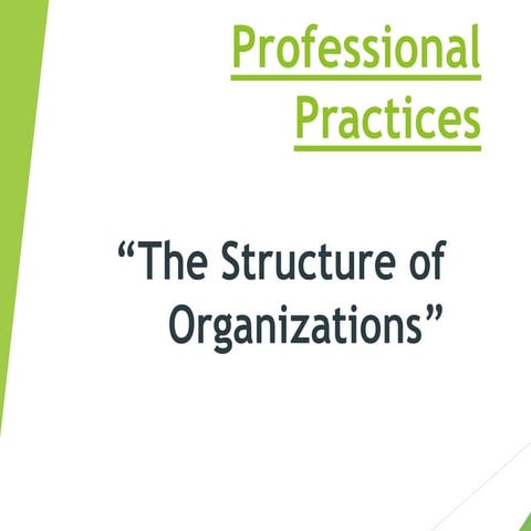 Professional Practices Week3aa.pptx
