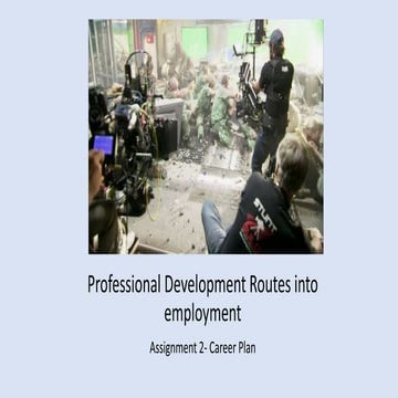 Professional practice | PPT