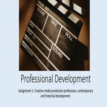 Professional practice | PPT
