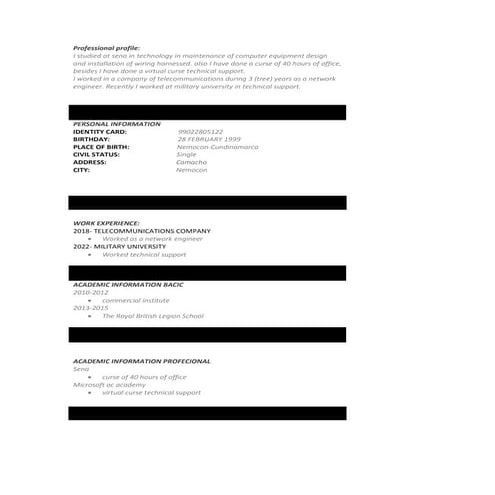 Professional profile | PDF