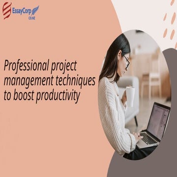 Professional project management techniques to boost productivity.pptx