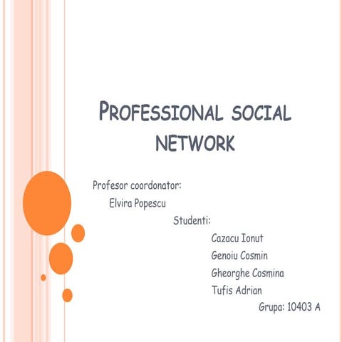 Professional social network - first presentation | PPT