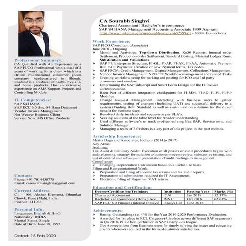 Professional summary sourabh | PDF