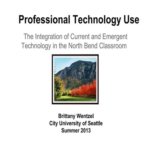 Professional Technology Use Presentation | PPTX