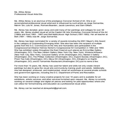 Professional Visual Artist Bio | DOCX