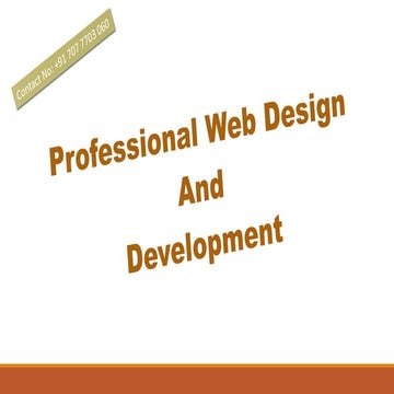 Professional web design and development | PPT