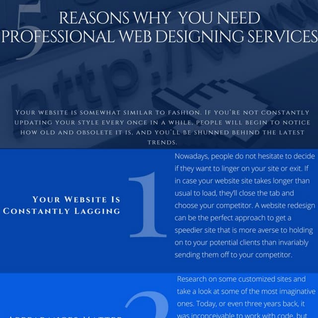 Professional web designing services | PDF