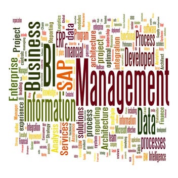 Professional Word Cloud | PDF