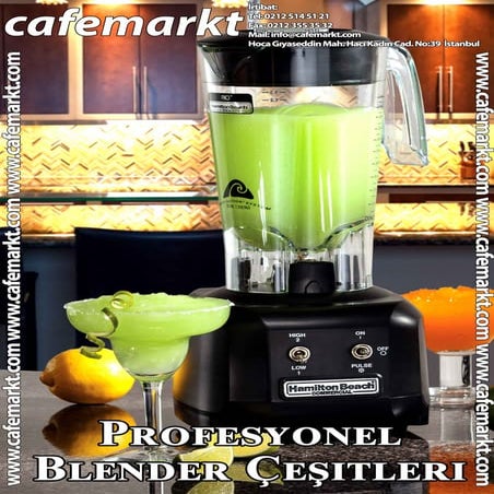 Profesyonel Blender | PDF