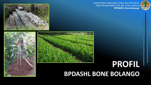 Bpdashl bone bolango