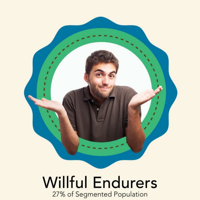 Willful Endurers Profile: Psychographic Segmentation of the Healthcare ...