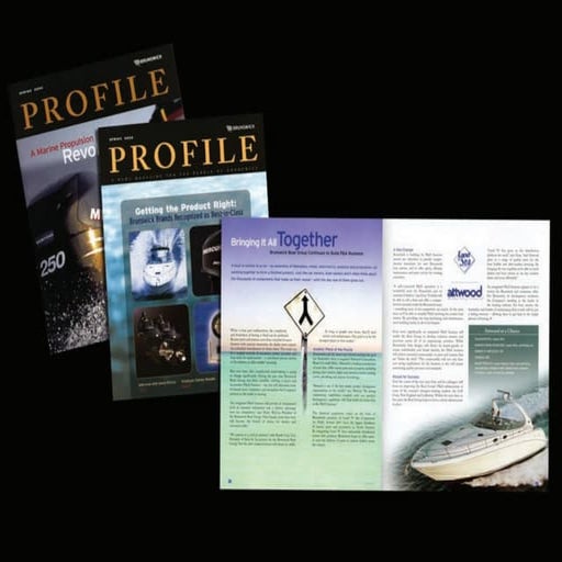 Profile Mag | PDF
