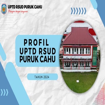 Profil UPTD RSUD Puruk Cahu Tahun 2024.pdf