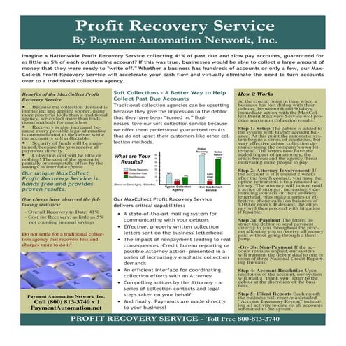 Profit Recovery Service | PDF