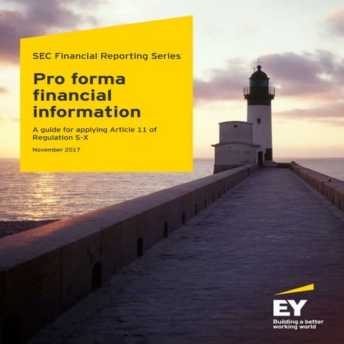Pro Forma Financial Information | PDF