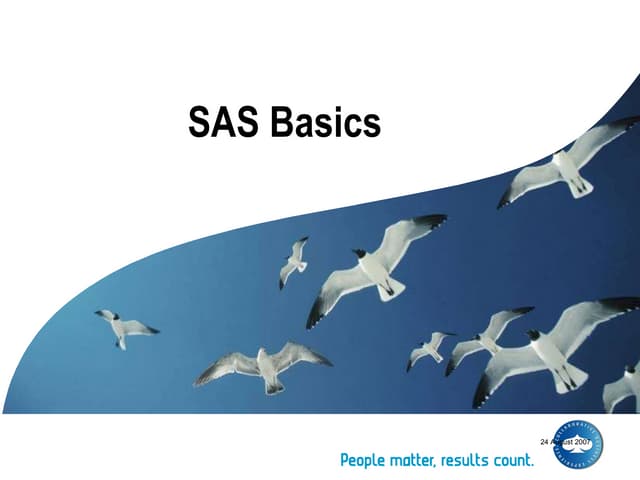 SAS cheat sheet | PDF