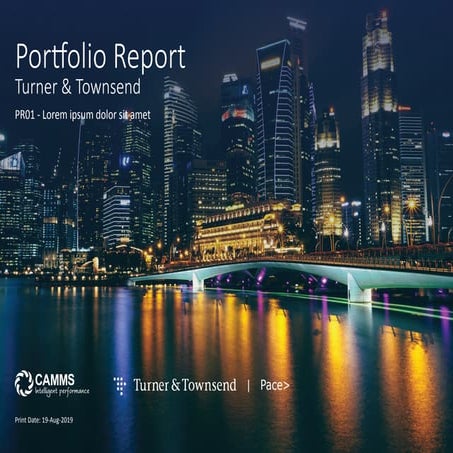 Program Portfolio Report | PDF