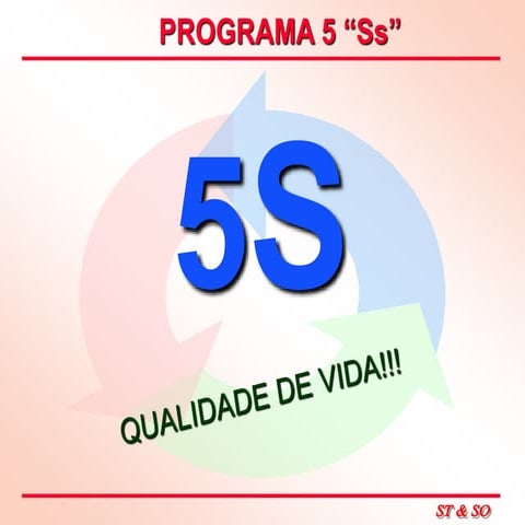 programa-5s.pptx