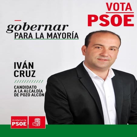 Programa electoral-pozo-alcon | PDF