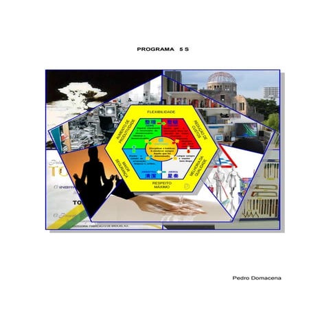 PROGRAMA 5 S | PDF