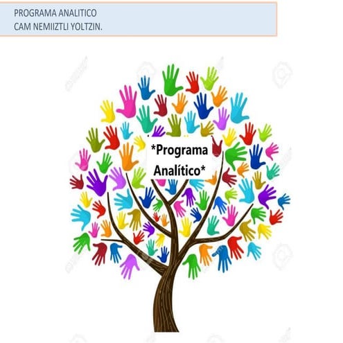 Programa analitico inicial CAM.docx
