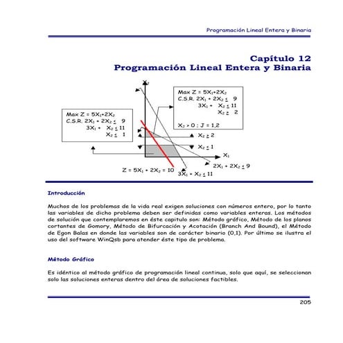 Programación lineal entera y binaria | PDF