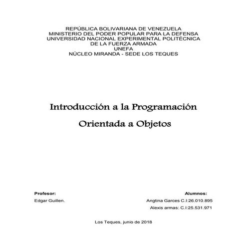 Programacion | PDF | Programming Languages | Computing